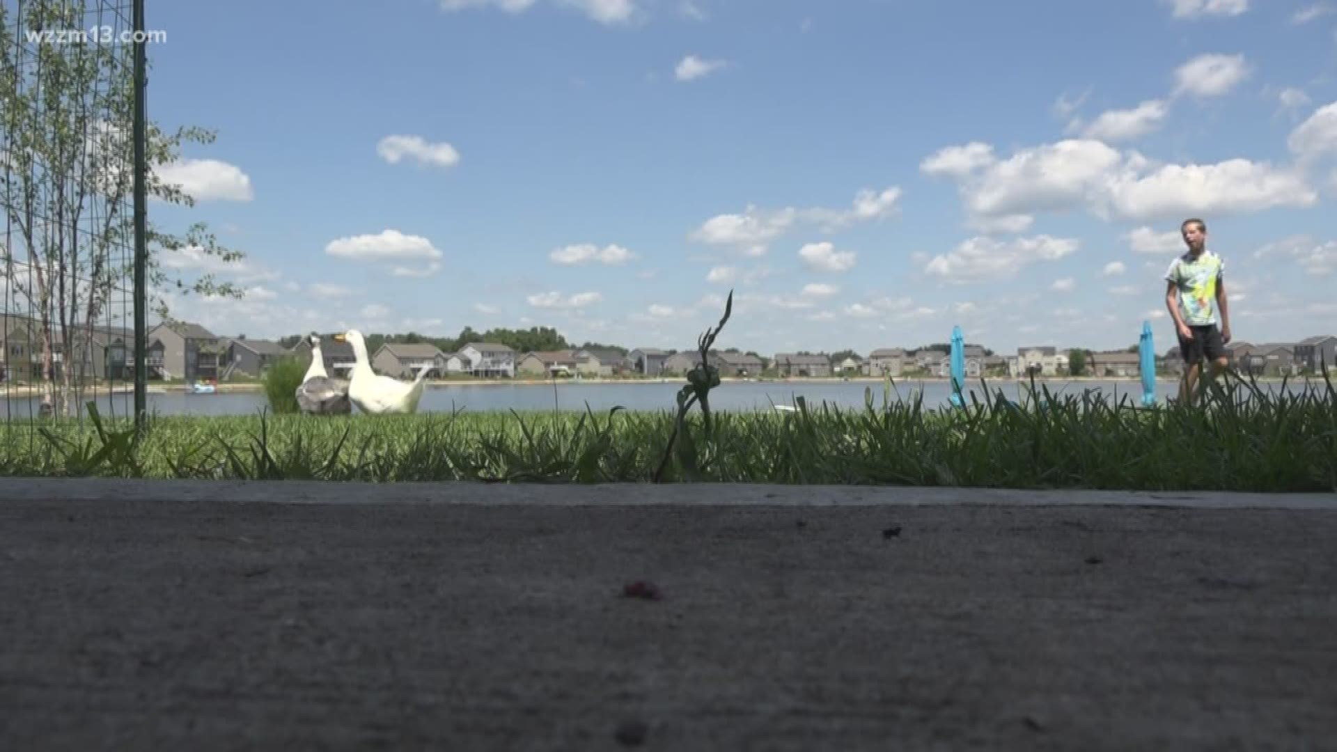 Boy with autism gets to keep therapy ducks | wbir.com